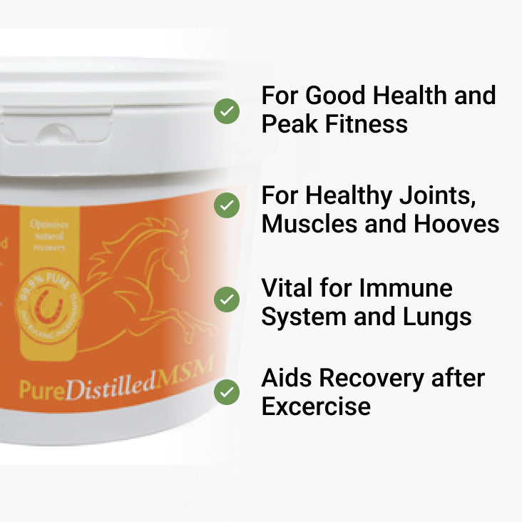 MSM for Horses | Pure Distilled MSM Powder